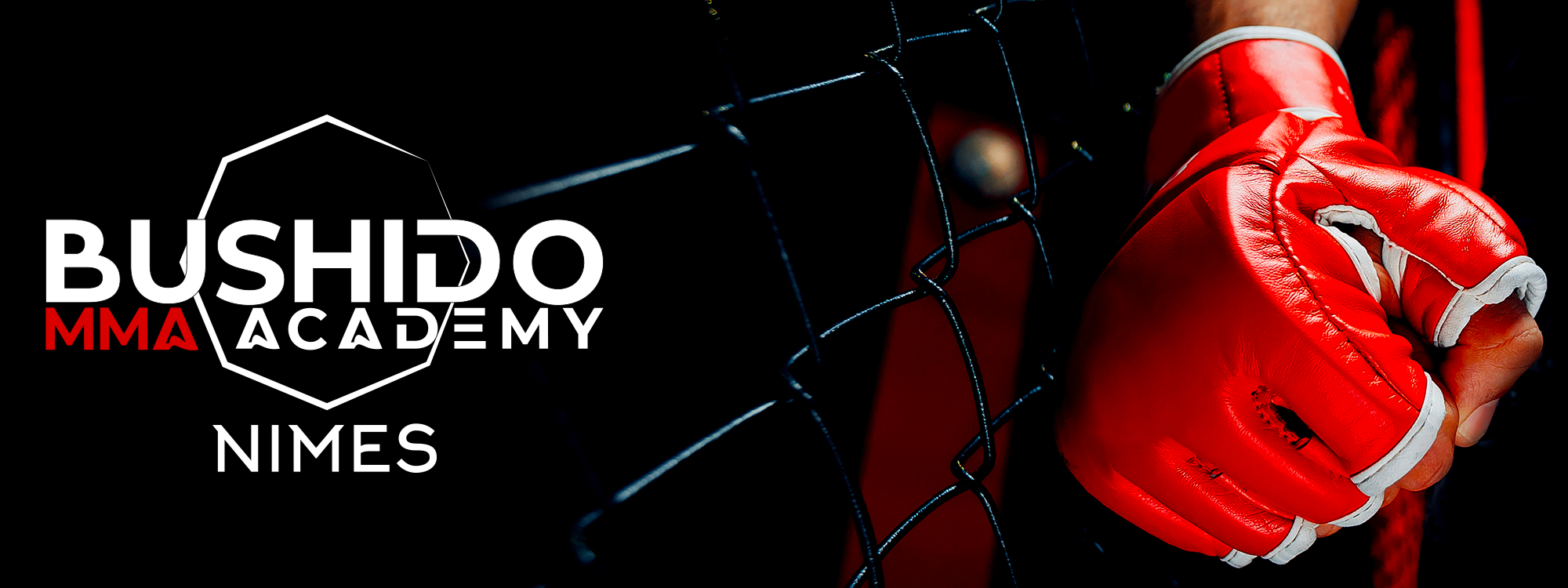 Club de MMA à Nîmes – Bushido Academy